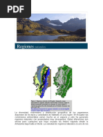 Organizador Gráfico Con Los Rasgos Mas Importantes de La Personalidad ...
