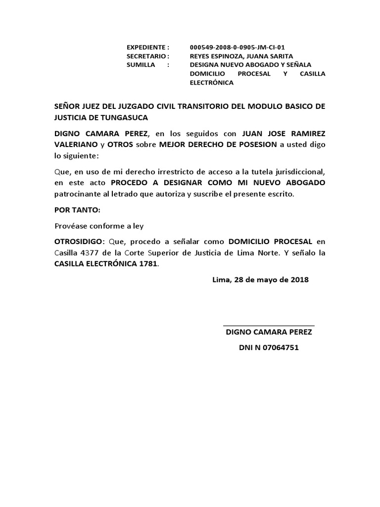 Designa Nuevo Abogado Patrocinante | PDF