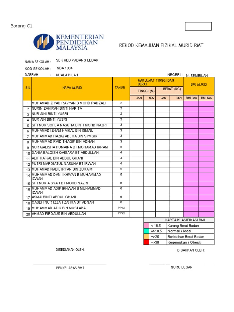 Rekod Kemajuan Fizikal Murid RMT | PDF