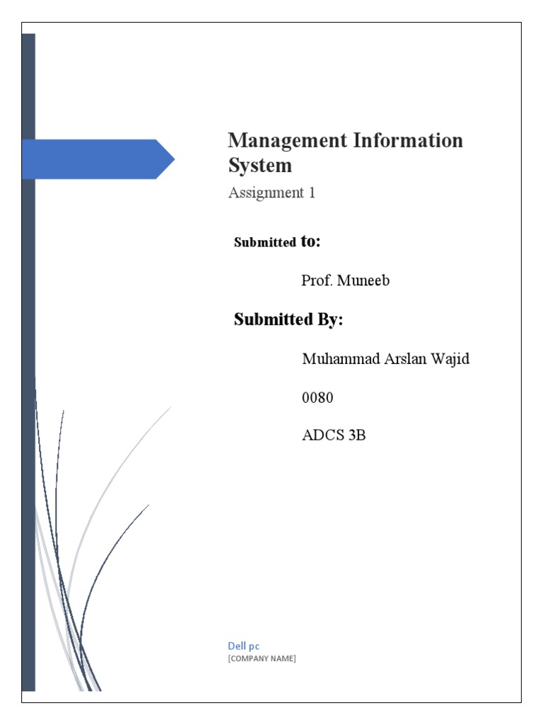 Management Information System: Assignment 1 | PDF | Management Information System | Human ...