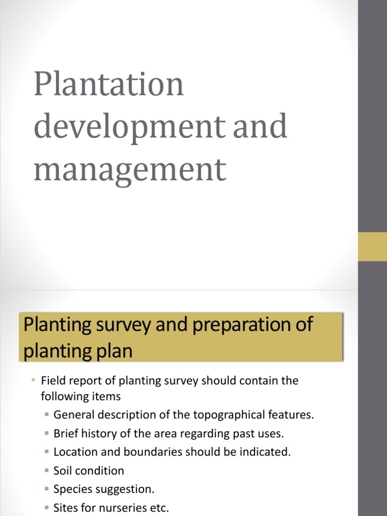 Plantation Development Guidelines | PDF | Soil | Fertilizer