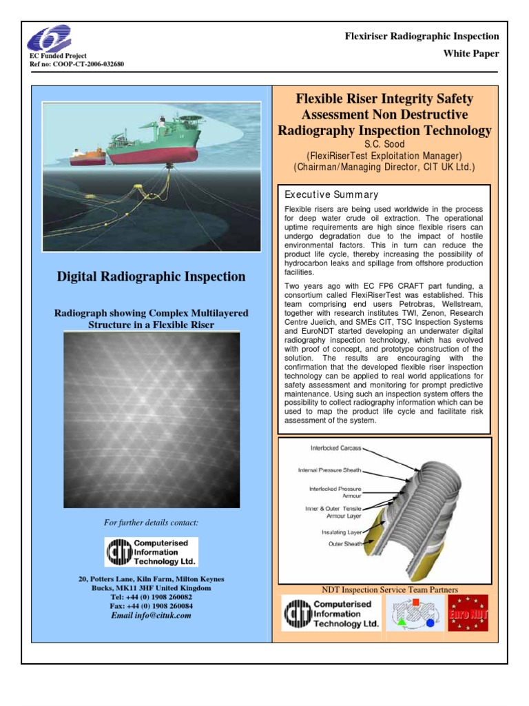 Flexible Riser Inspection | PDF | Nondestructive Testing | Reliability ...