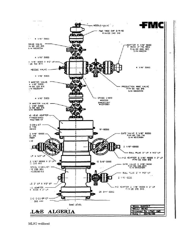 Wellheads | PDF