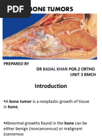 Scottie Dog Sign | PDF | Vertebra | Skeletal System