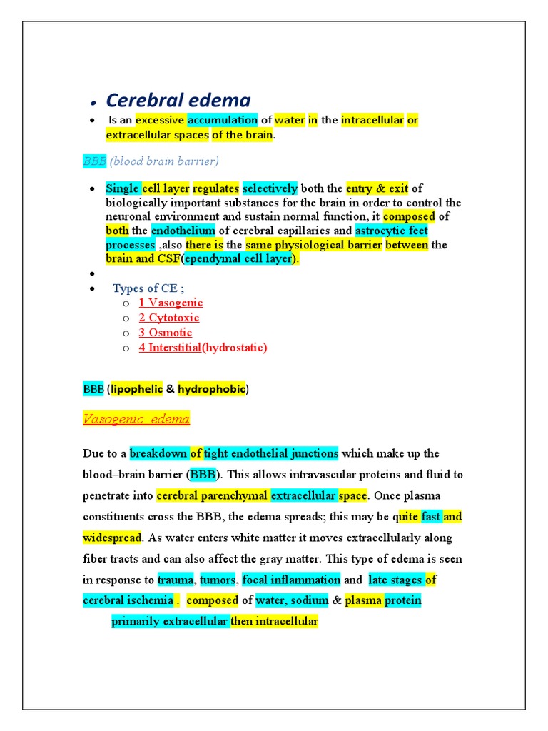 Cerebral Edema: BBB (Blood Brain Barrier) | PDF | Nervous System ...