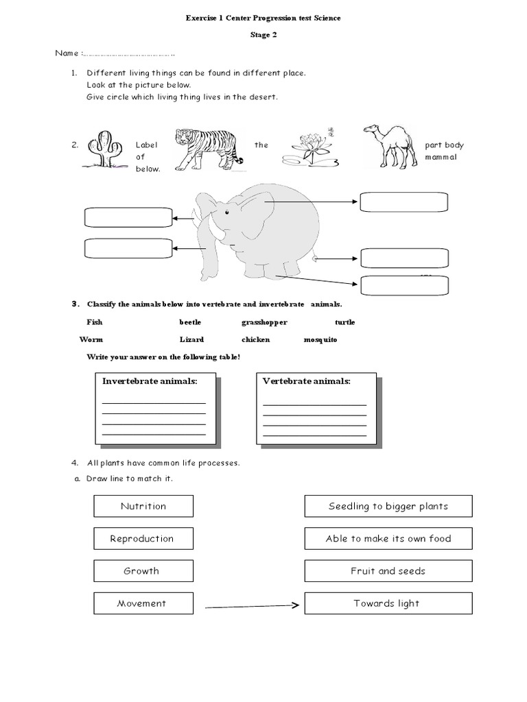 Exercise 1 Center Progression Test Science Stage 2: Invertebrate ...