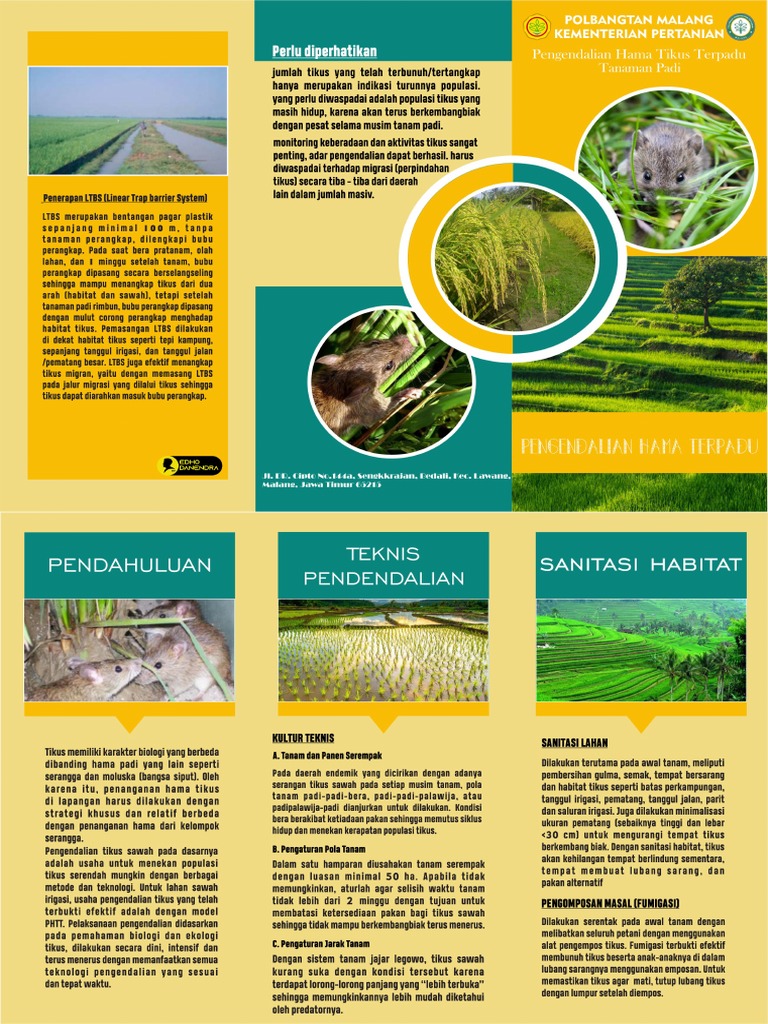 Leaflet PHT Padi - Tikus | PDF