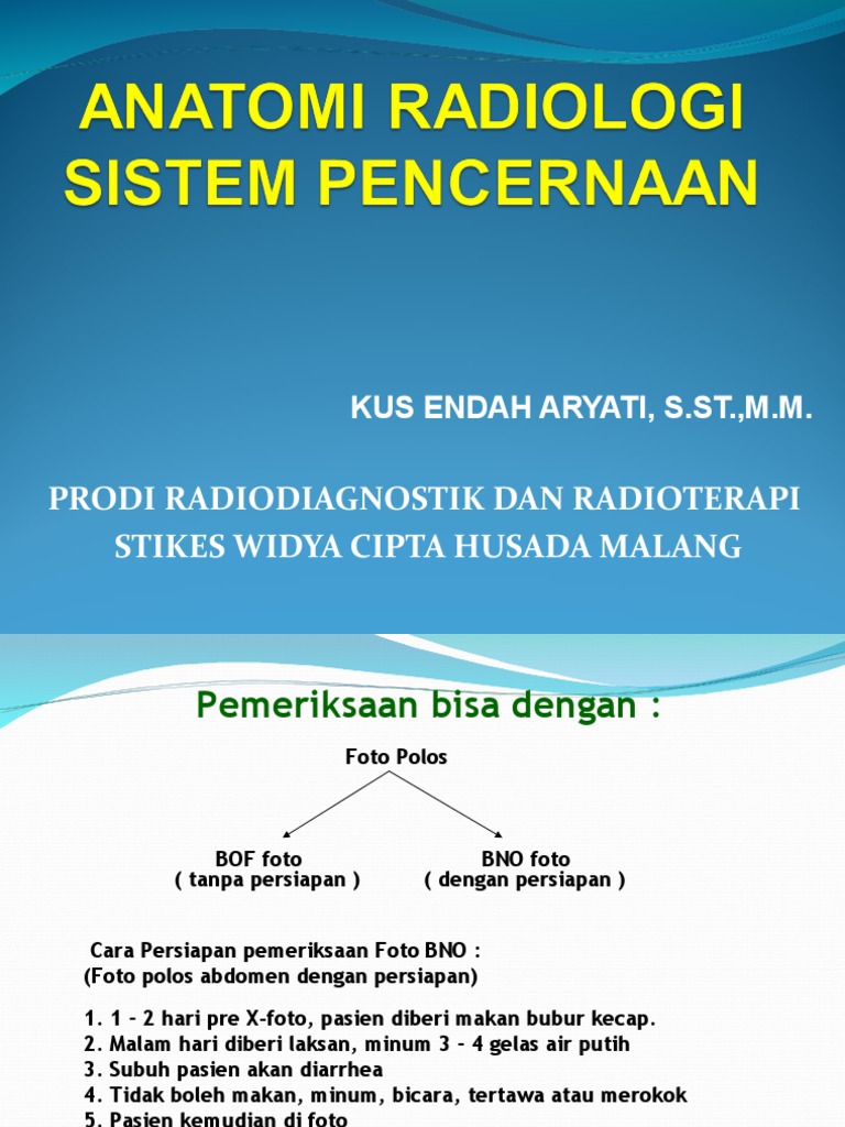 Anrad Sistem Pencernaan | PDF