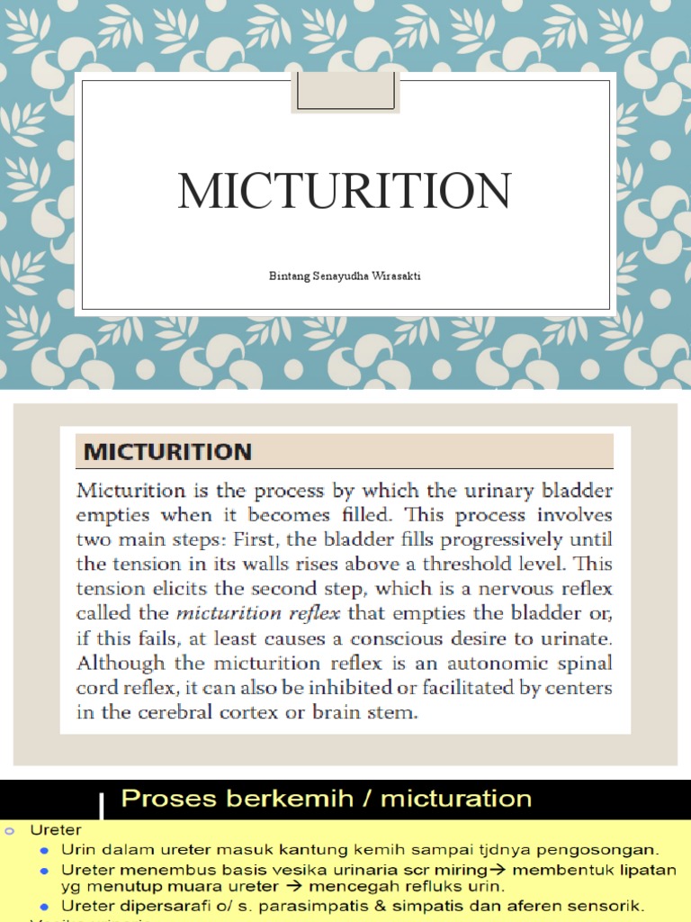 Micturition | PDF