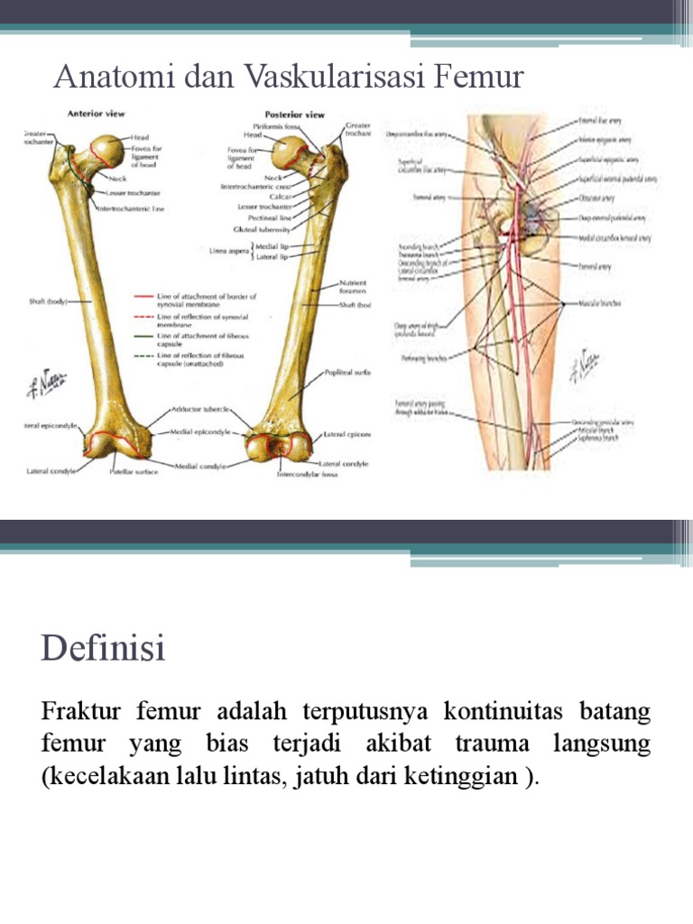 Fraktur Os Femur PDF | PDF