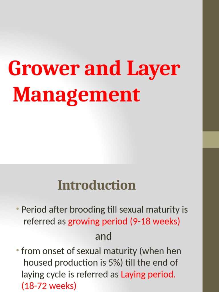 Grower and Layer Management in Poultry | PDF | Nest | Birds