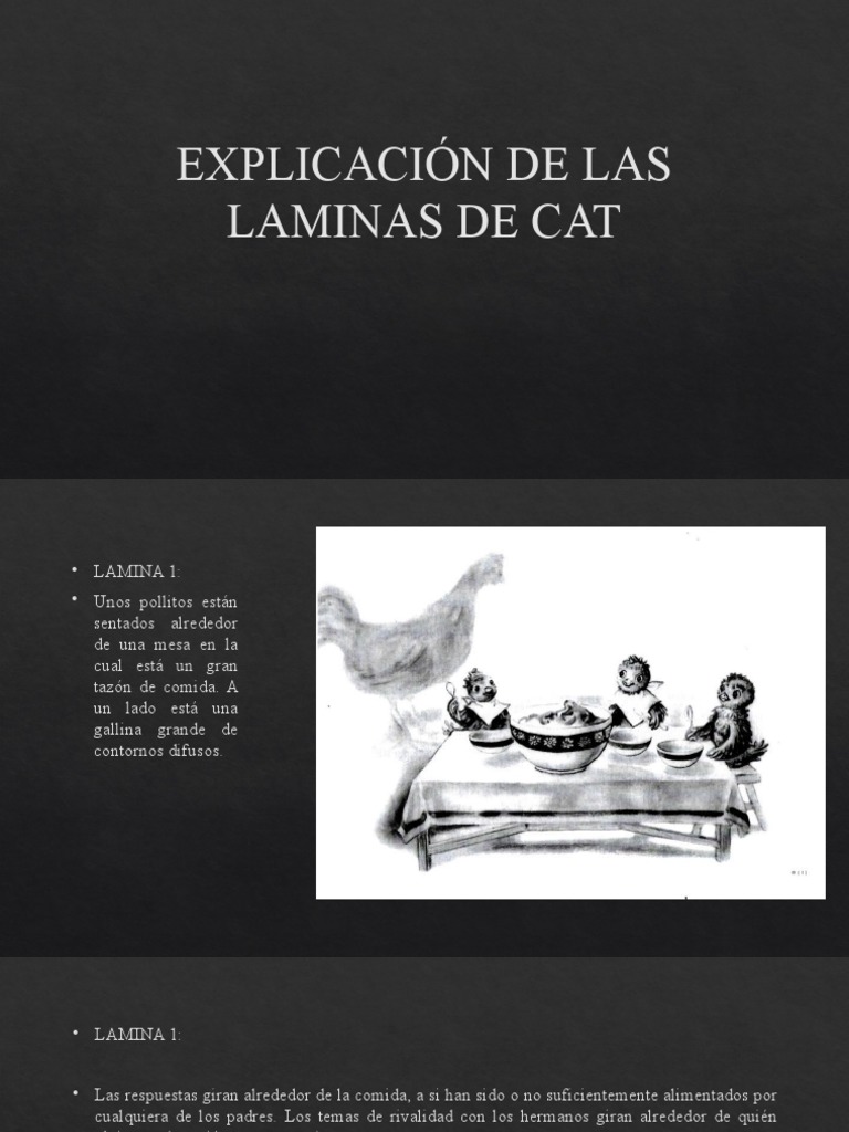EXPLICACIÓN DE LAS LAMINAS DE CAT | PDF | Sicología