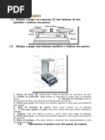 Partes de La Balanza Analítica | PDF