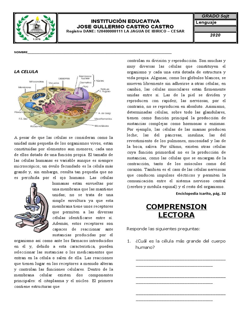 Comprension Lectora La Celula | PDF | Biología Celular) | Organismos