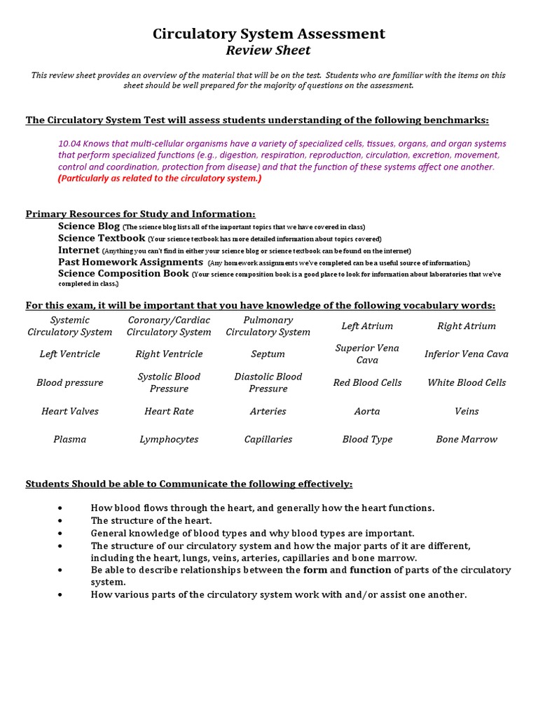 Circulatory System Test-Review Sheet | PDF | Circulatory System | Heart