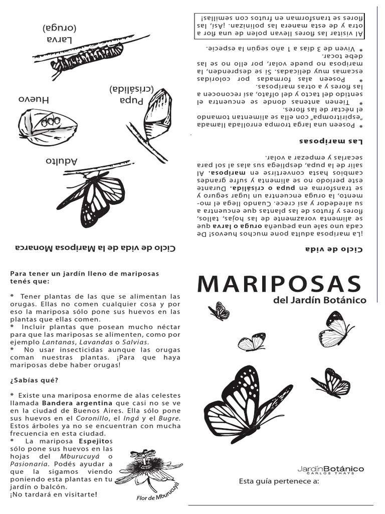 Guia de Mariposas para Imprimir | PDF | Lepidópteros | Insectos