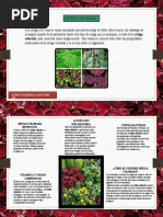 Tomevit Solución: Adultos Niños Lactantes | PDF