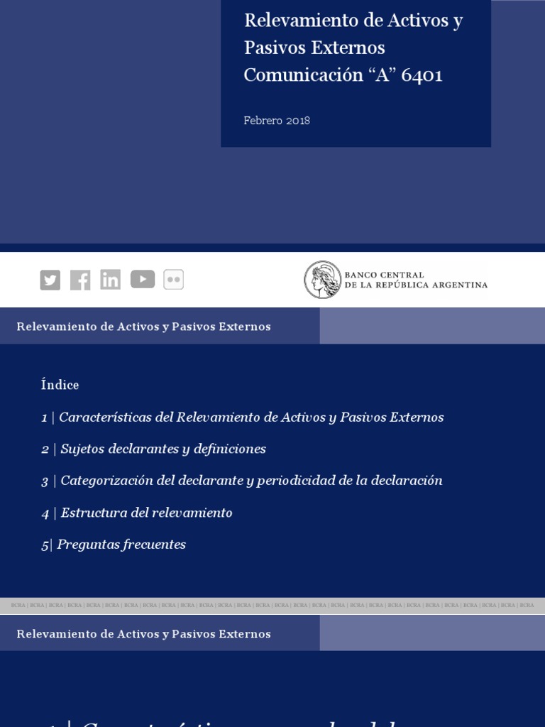 Relevamiento Activos y Pasivos Externos | PDF | Deuda | Business Relevamiento Activos y Pasivos Externos | PDF | Deuda | Business