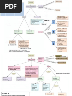 Strep Alpha, Beta, Entero Flow Chart | PDF