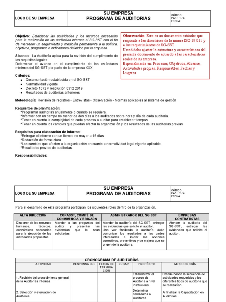 Modelo - Programa de Auditorías Internas | PDF | Auditoría | Business