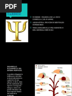 Filogénesis y Ontogénesis Del Sistema Nervioso | PDF | Sistema nervioso ...