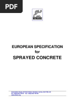 ACI 306R-10 Guide To Cold Weather Concreting | PDF