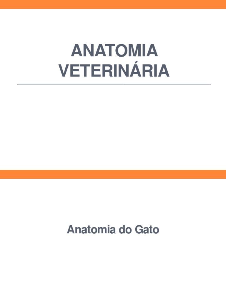 Anatomia Veterinária Parte 3 PDF | PDF | Sistema Locomotor | Anatomia
