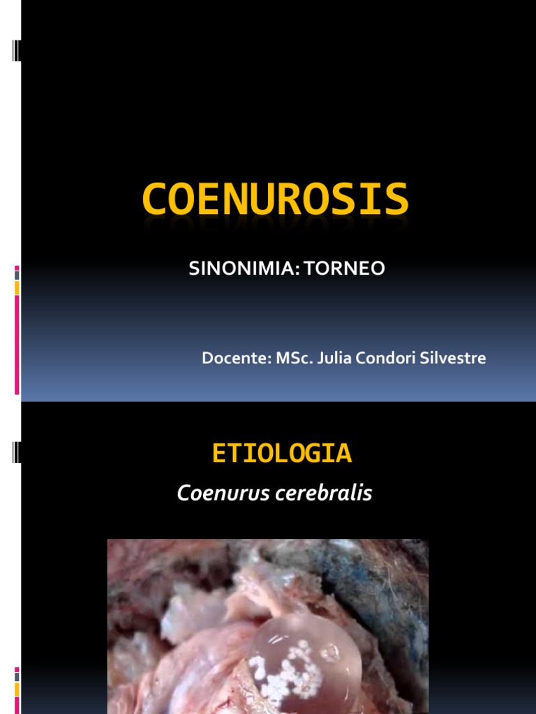 Coenurus | PDF