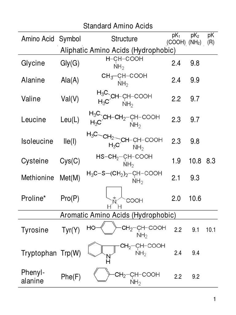 List of Amino Acid | PDF