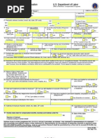 Dosh Form | PDF | Patient | Employment