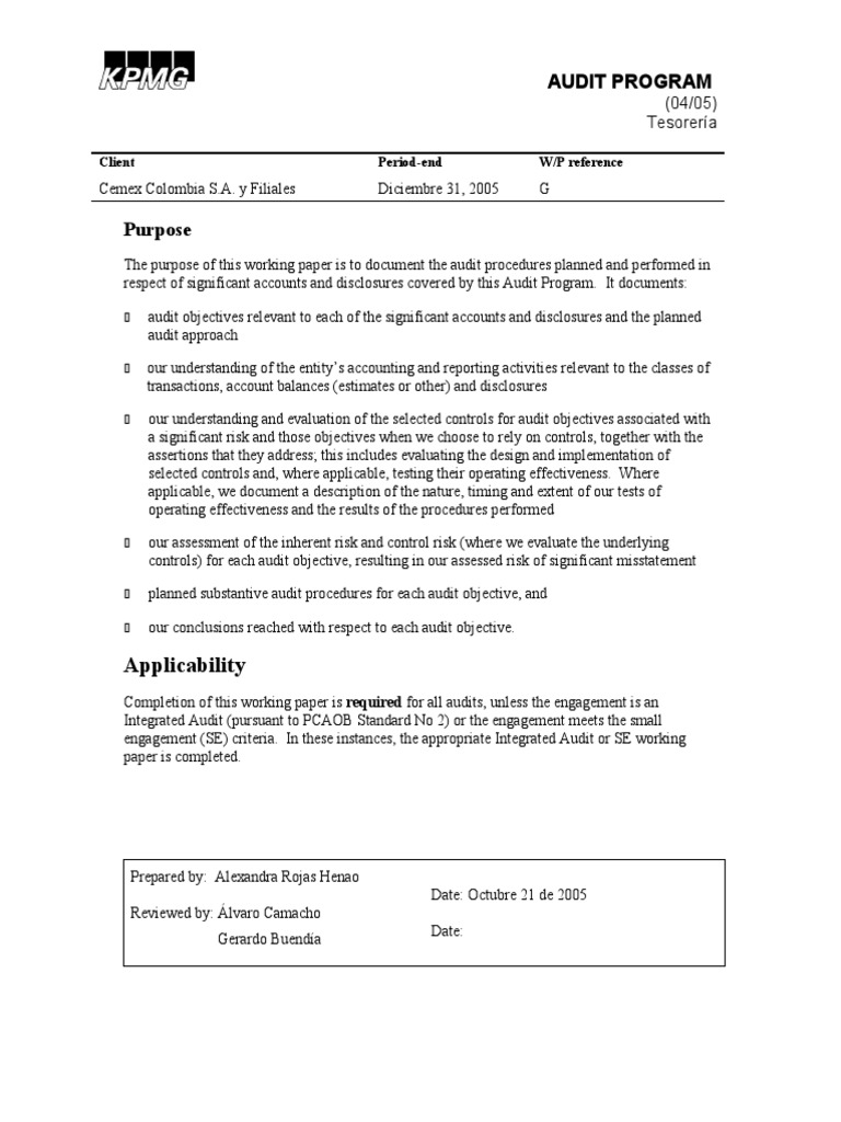 Audit Program for Treasury Accounts | PDF | Audit | Risk
