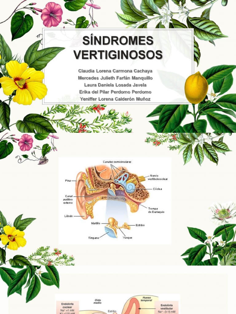 Sindrome Vertiginoso | PDF