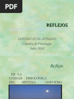 Reflejo consensual y su importancia clínica | PDF | Nervio | Ojo