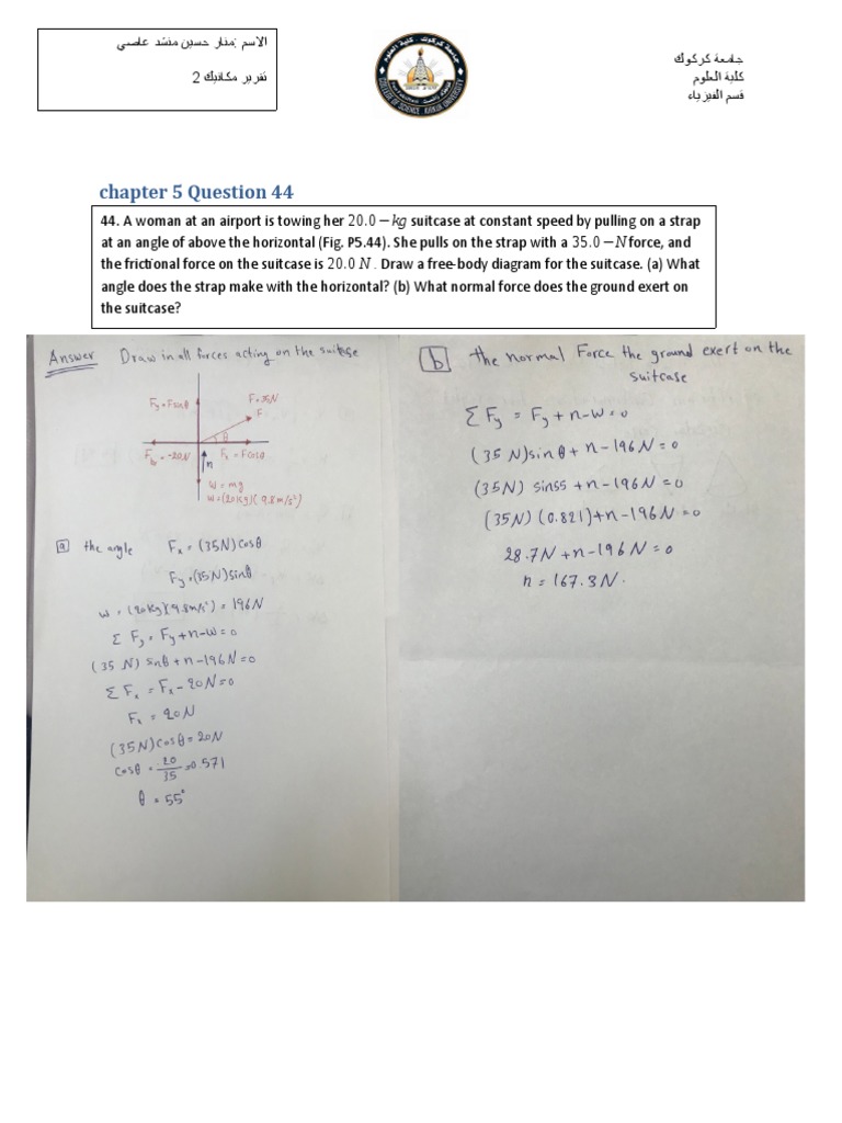 Physics Mechanics Report: Free-Body Diagrams | PDF | Natural Philosophy ...