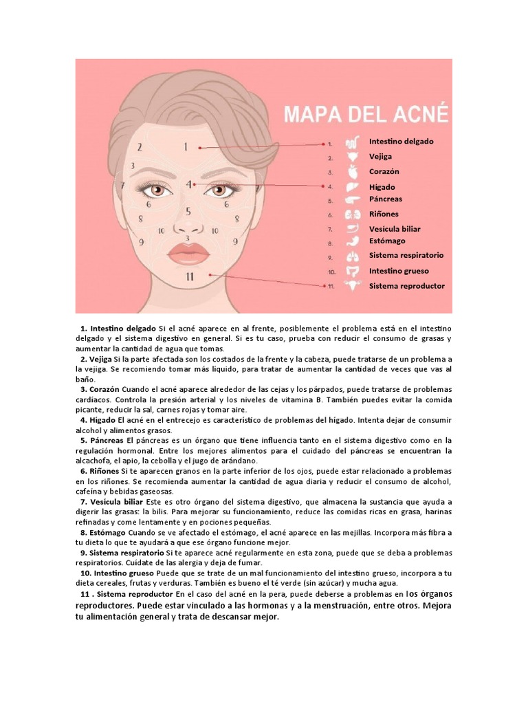 Mapa Del Acne | PDF | Sistema digestivo humano | Bilis