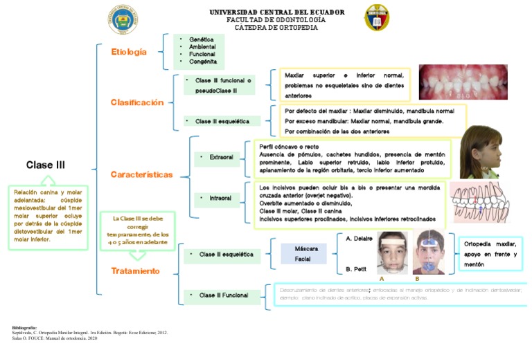 Clase III Esqueletal, Caraterísticas y Tipos PDF | PDF | Ortodoncia | Cara