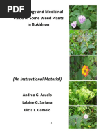 Damong Maria: Herbal Benefits and Uses | PDF | Wellness | Medical