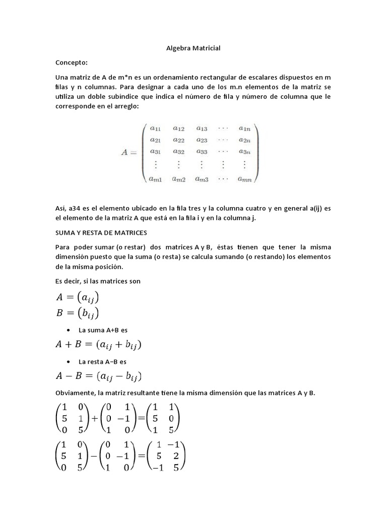 Algebra Matricial | PDF | Matriz (Matemáticas) | Teoría de la matriz