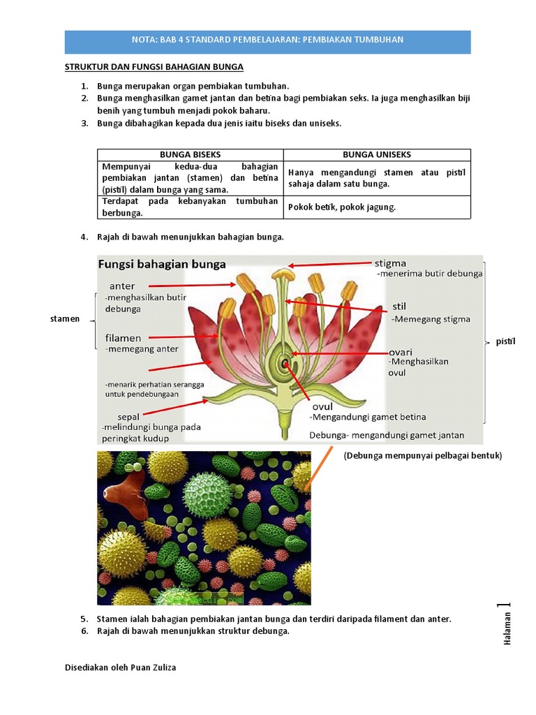 Nota STRUKTUR DAN FUNGSI BAHAGIAN BUNGA | PDF
