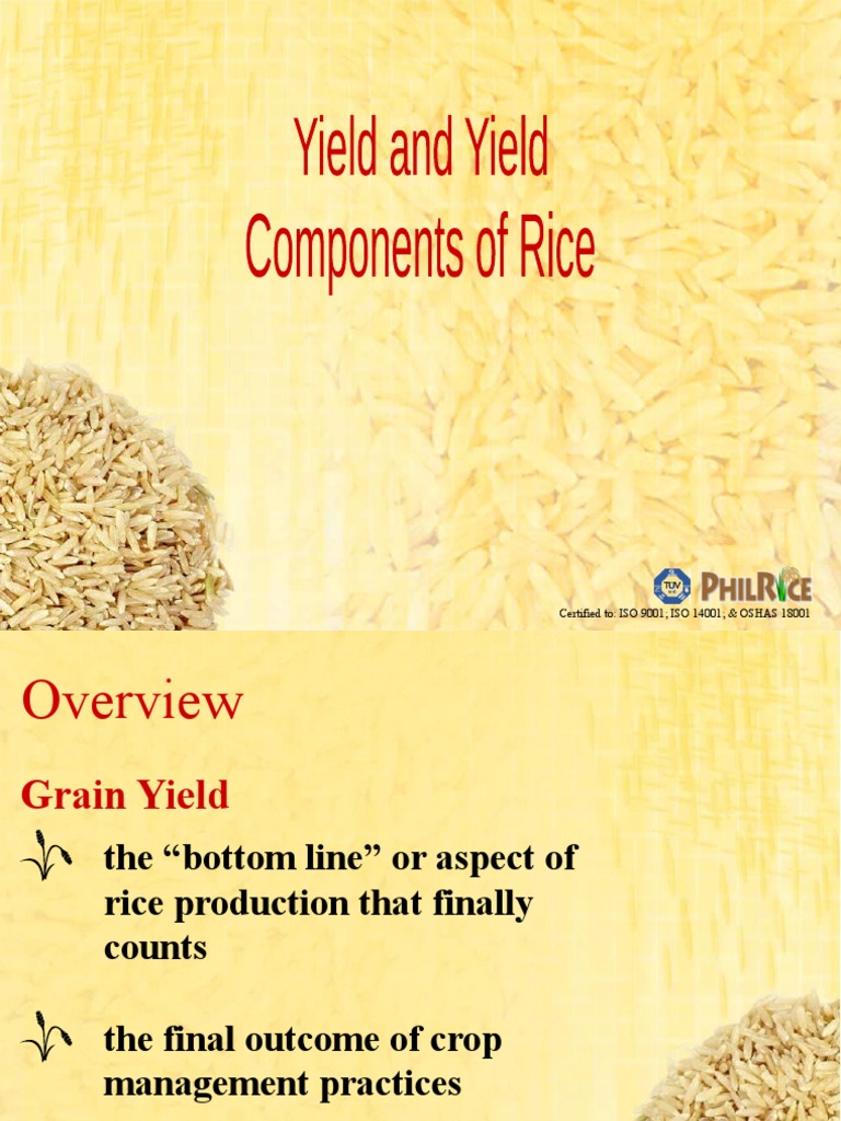 Yield and Yield Components. JOAN | PDF | Crop Yield | Cereals