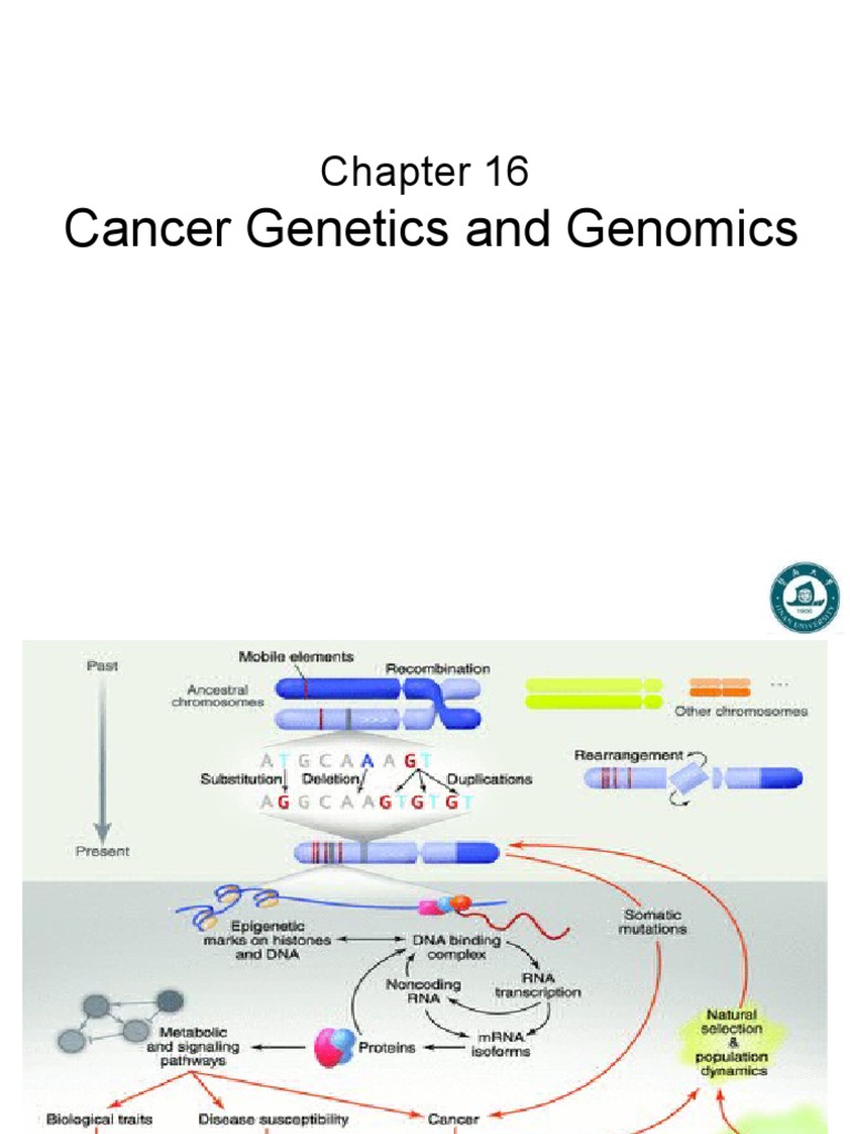 Cancer Genetics and Tumor Biology | PDF | Oncogene | Neoplasms