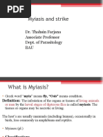 Dermatophyte Identification Chart | PDF | Fungus | Mycology