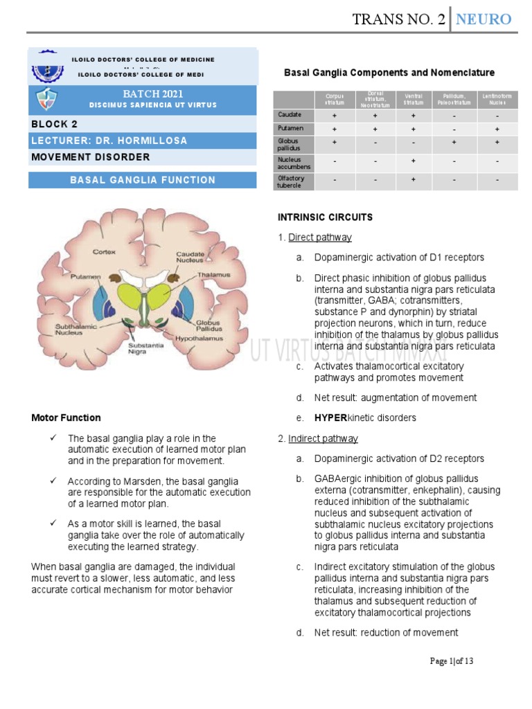 Neuro Block 2 - Part 1 (Edit) | PDF | Basal Ganglia | Striatum
