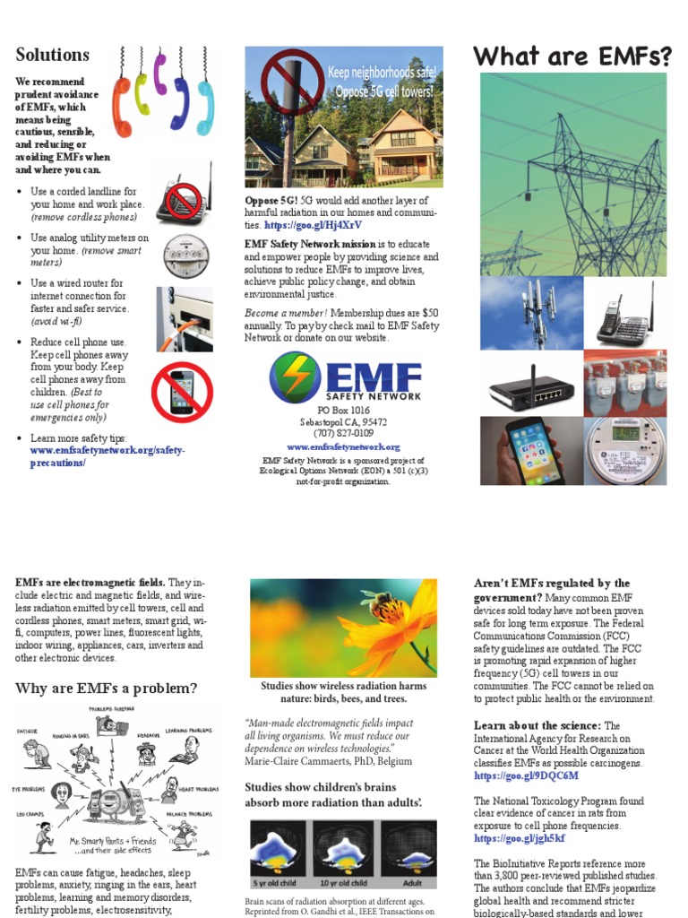 Emf Printable PDF | PDF | Electromagnetic Field | Science