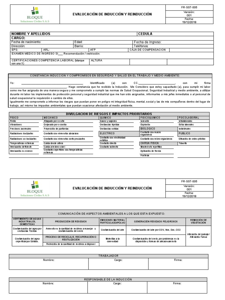 Formato de Induccion y Reinduccion | PDF | Contaminación | Seguridad y salud ocupacional