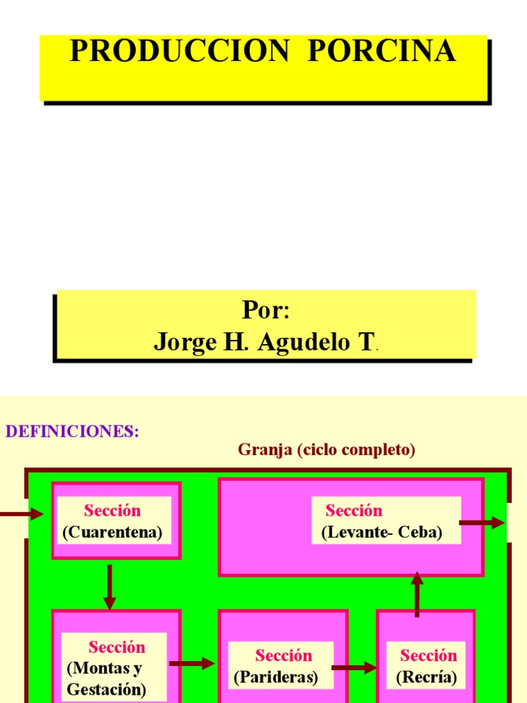 Flujo Continuo y Flujo Modular | PDF