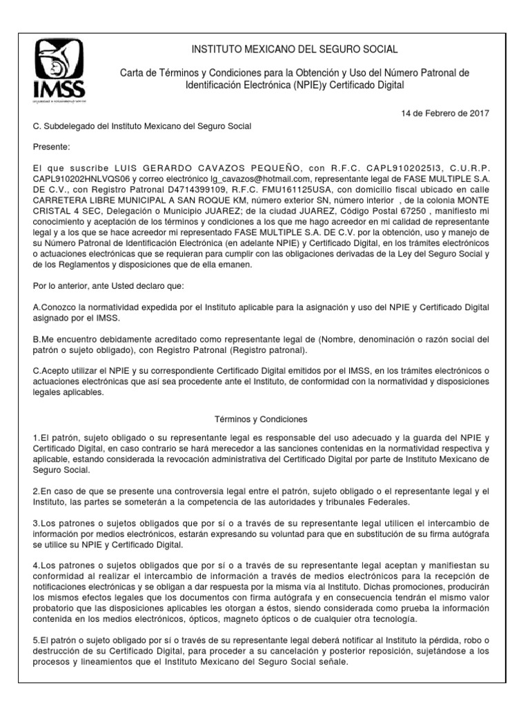 Carta de Terminos y Condiciones NPIE | PDF | México | Business