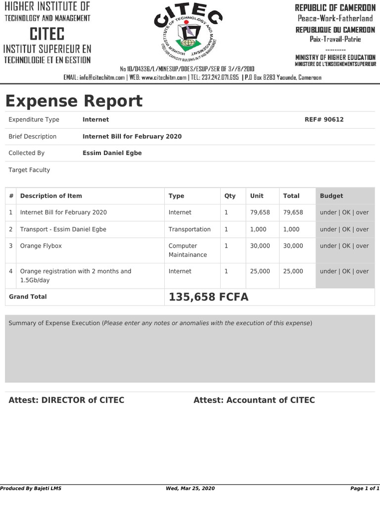 Expense Report-Multiple | PDF