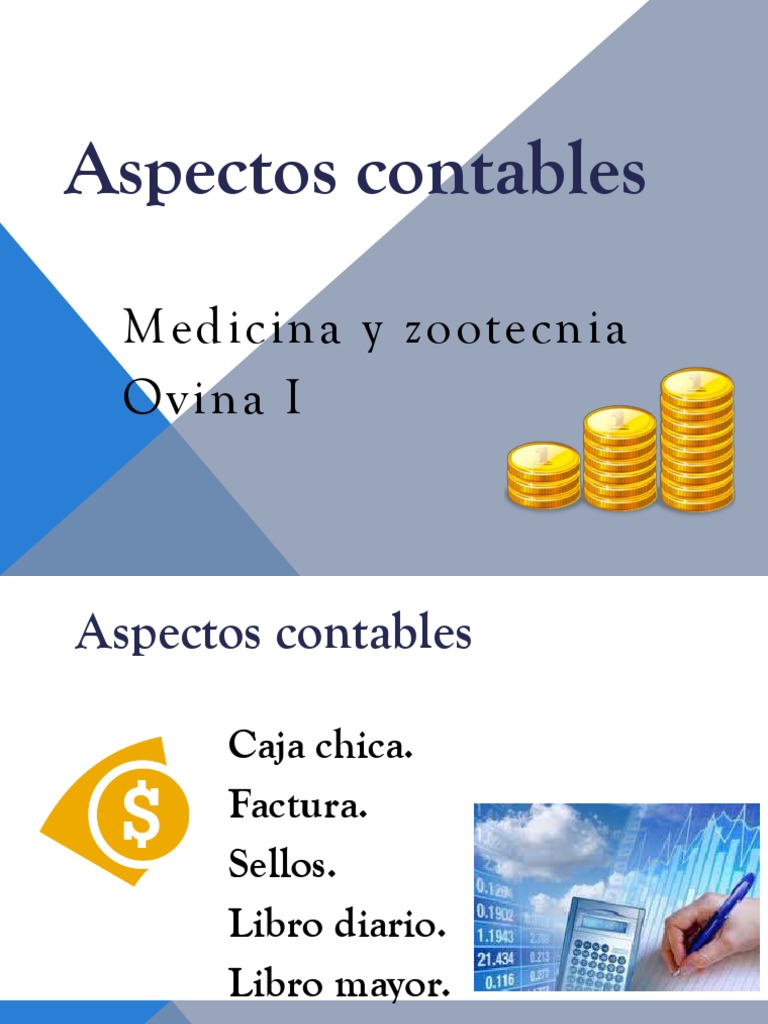 Aspectos Contables | PDF | Factura | Oveja