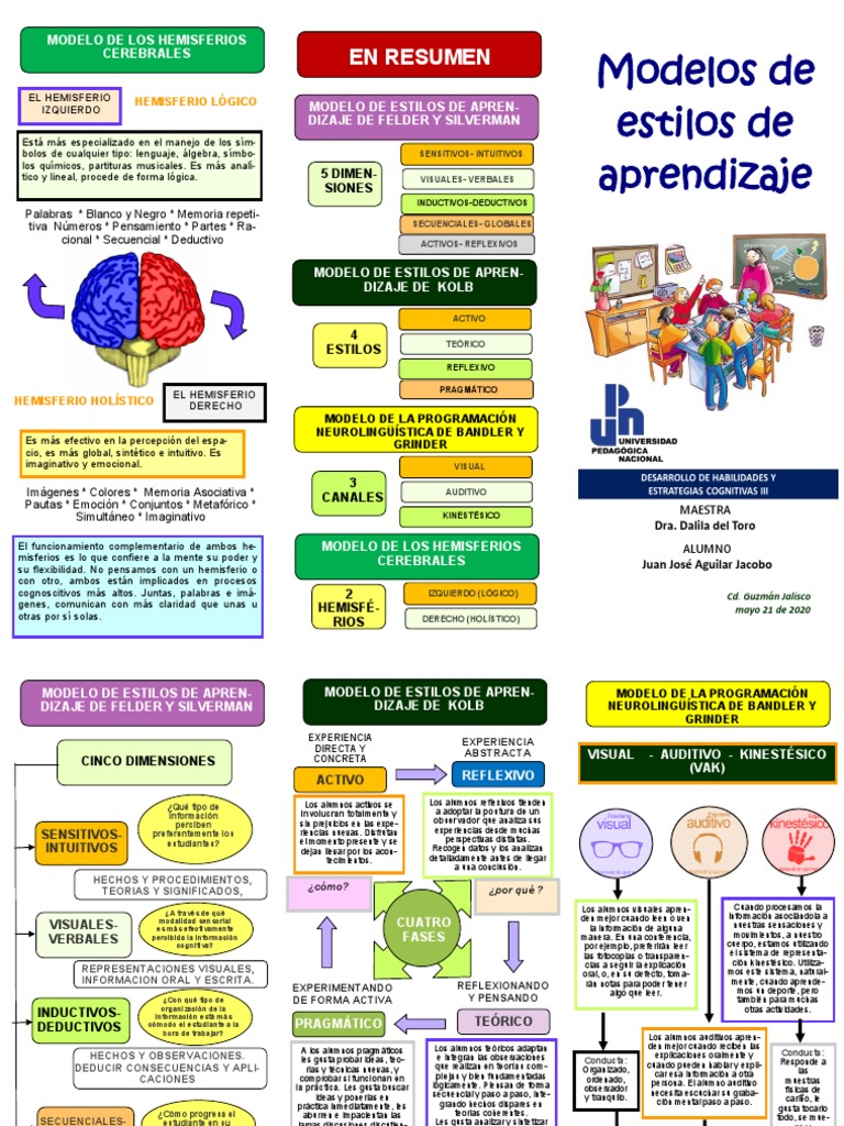 Triptico Modelos de Estilos de Aprendizaje | PDF | Hemisferio cerebral | Neuropsicología
